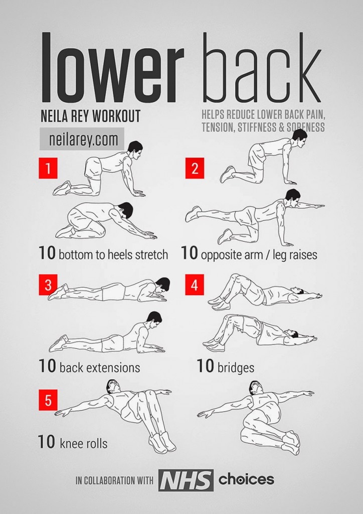 Exercícios Simples para Lombalgia | Reabilitacao.net Exercícios Simples para Lombalgia | Reabilitacao.net